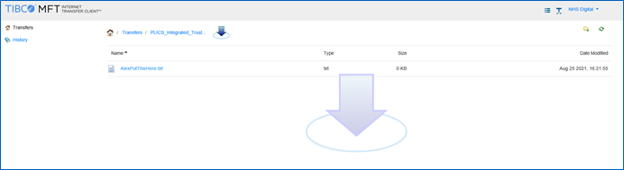 Accessing the report(s) using SEFT - NHS England Digital